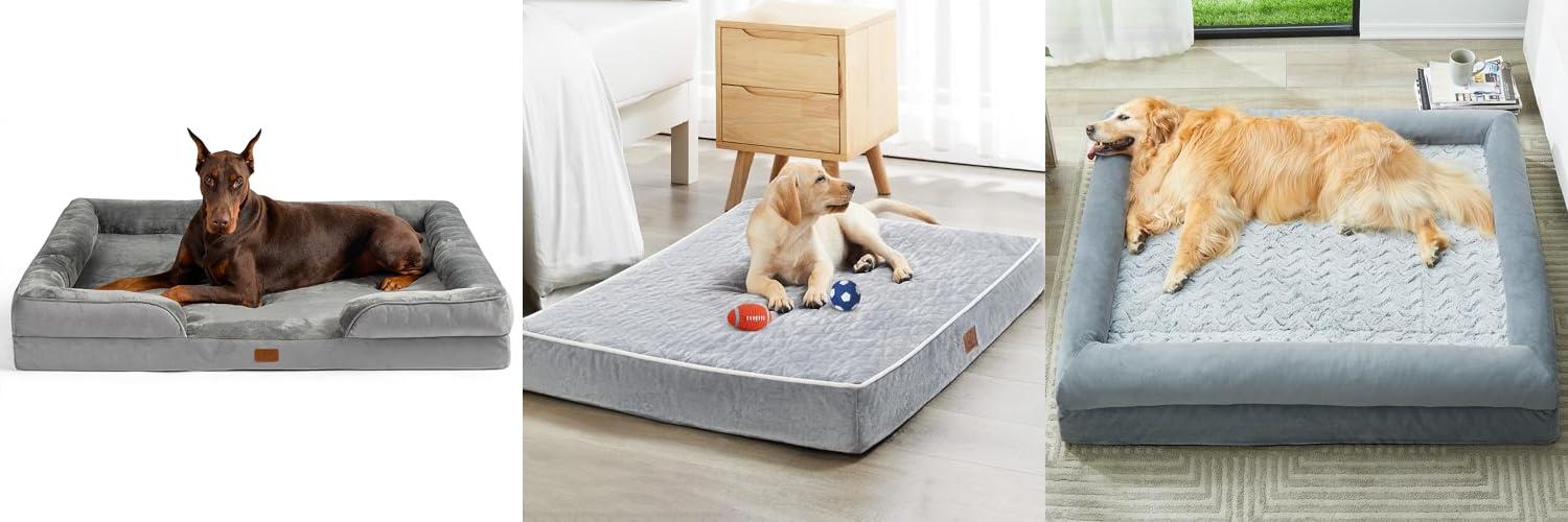 Top 5 Dog Beds For Great Danes: Reviews & Buying Guide - AnimalsPick