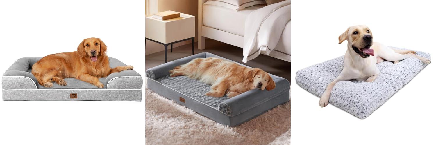 Top 5 Dog Beds For Labrador Retrievers: Cozy & Durable Choices ...