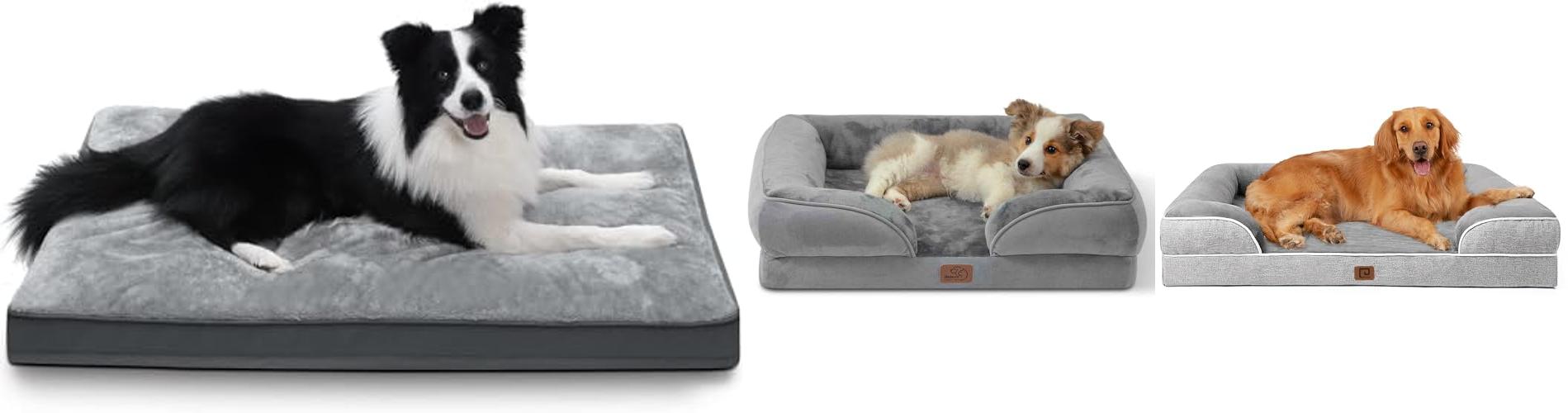 Top 5 Dog Beds With Removable Covers: Your Cozy Guide - AnimalsPick