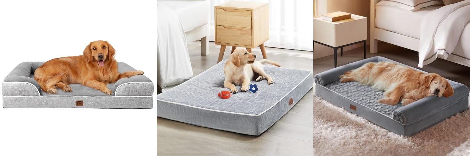 Top 5 Dog Beds For Labradors: Reviews & Buying Guide for Comfort ...