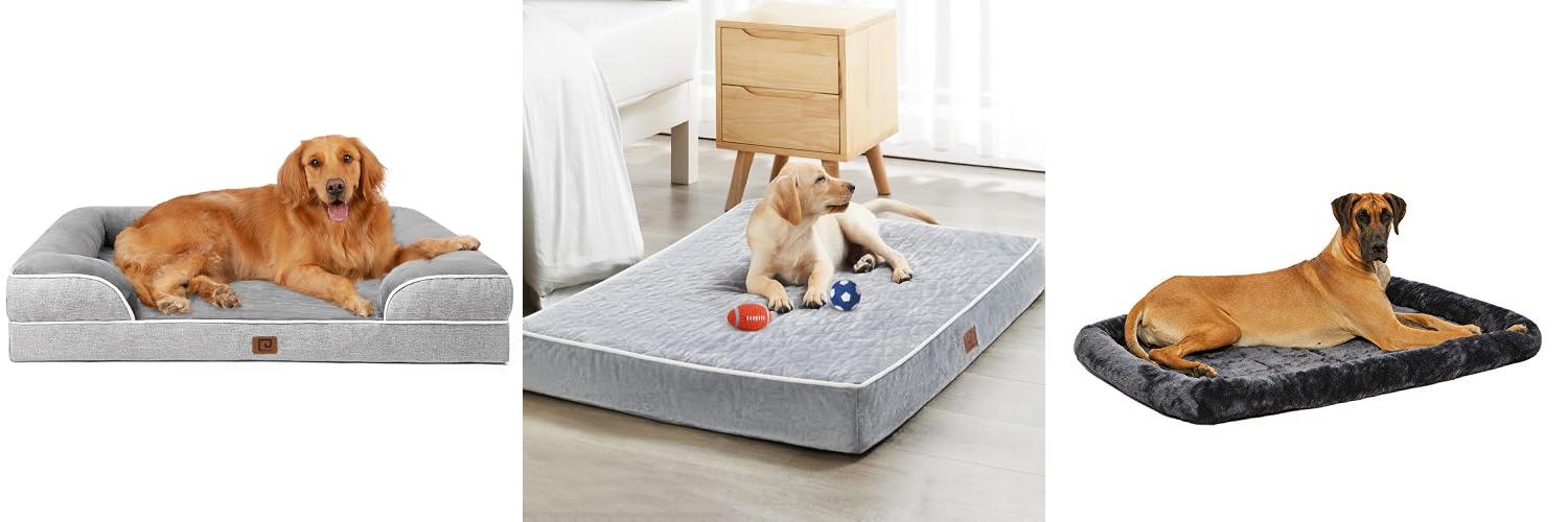 Top 5 Best Dog Beds for Mastiffs: Comfort & Support Guide - AnimalsPick