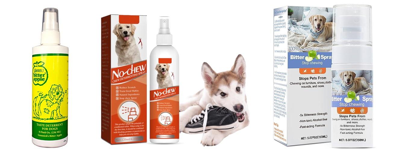 Top 5 Dog Bitter Spray: Reviews, Guide & Buying Tips for You - AnimalsPick