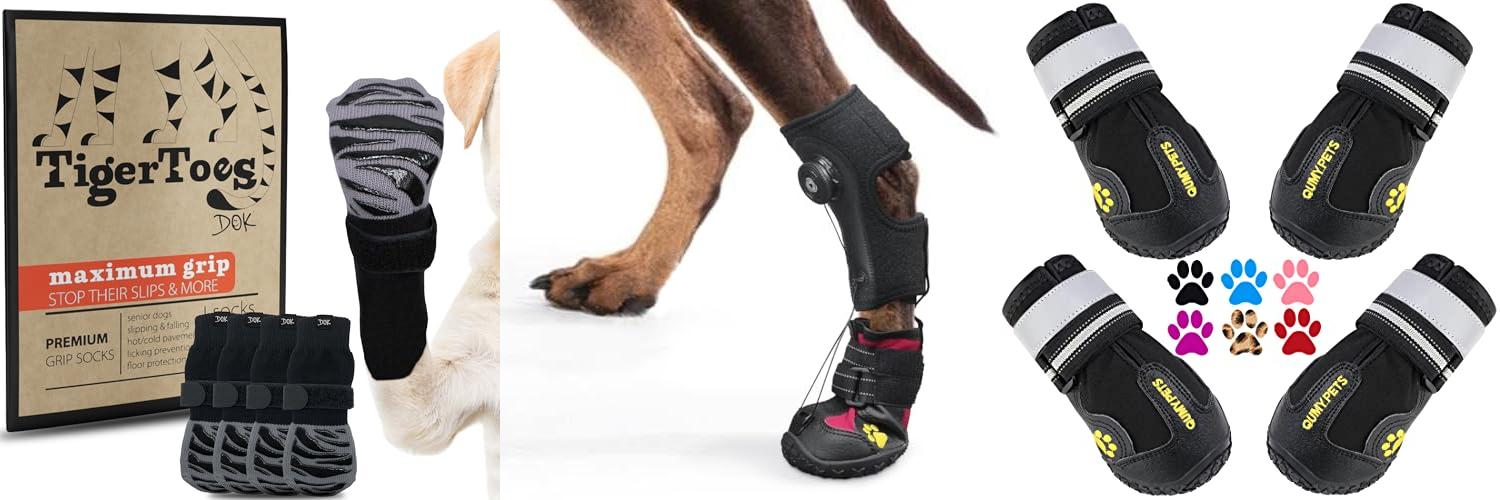Top 5 Dog Boots For Dragging Paws: Reviews & Buying Guide Now ...