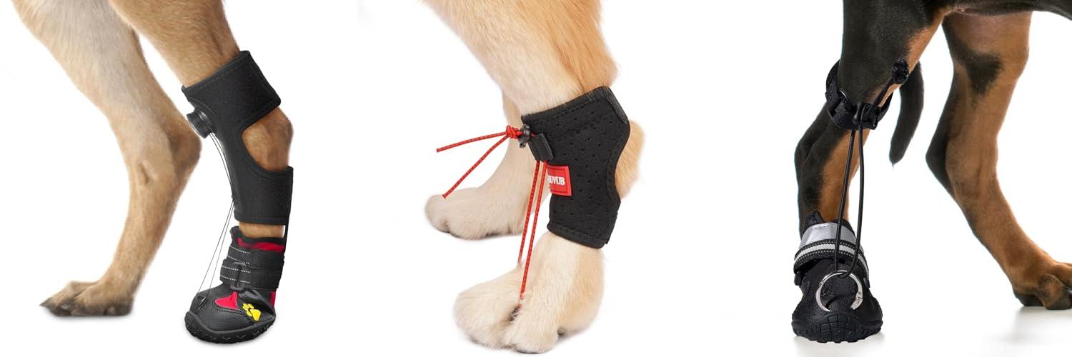 Top 5 Dog Boots for Knuckling: A Vet-Recommended Guide - AnimalsPick