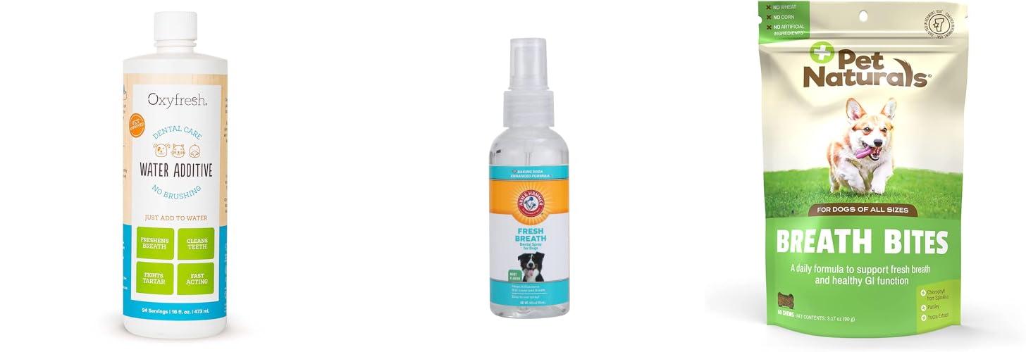 Top 5 Dog Breath Remedies: A Comprehensive Review and Guide - AnimalsPick