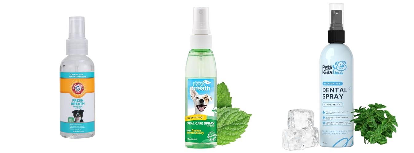 Top 5 Dog Breath Sprays: Reviews & Guide for Fresh Kisses! - AnimalsPick