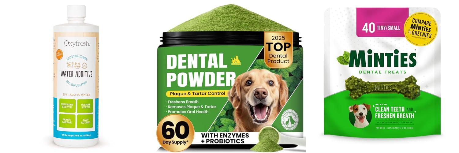 Top 5 Dog Breath Treatments: Freshen Your Pup's Breath! - AnimalsPick