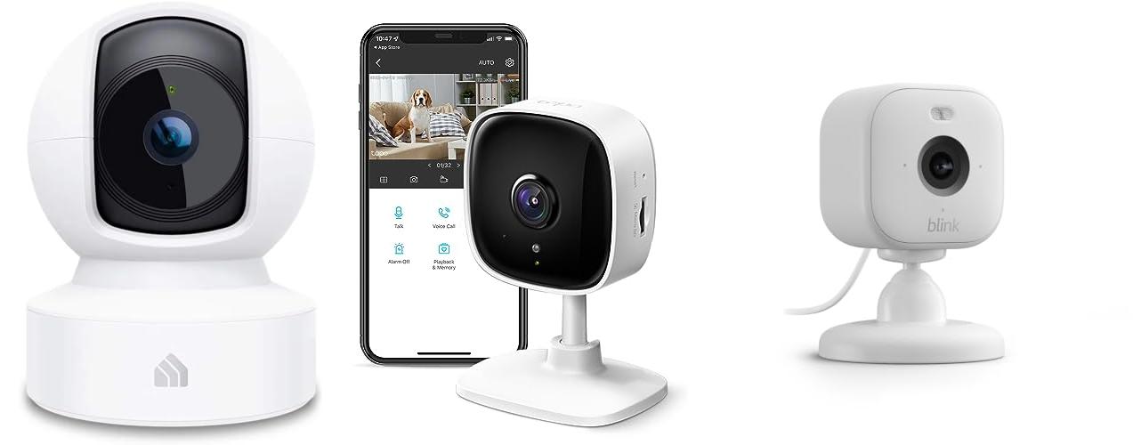 Top 5 Dog Cams: Reviews & Buying Guide for Pet Parents - AnimalsPick