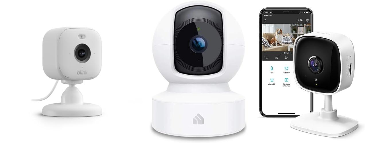 Top 5 Pet Cameras: Watch Your Furry Friend! - AnimalsPick