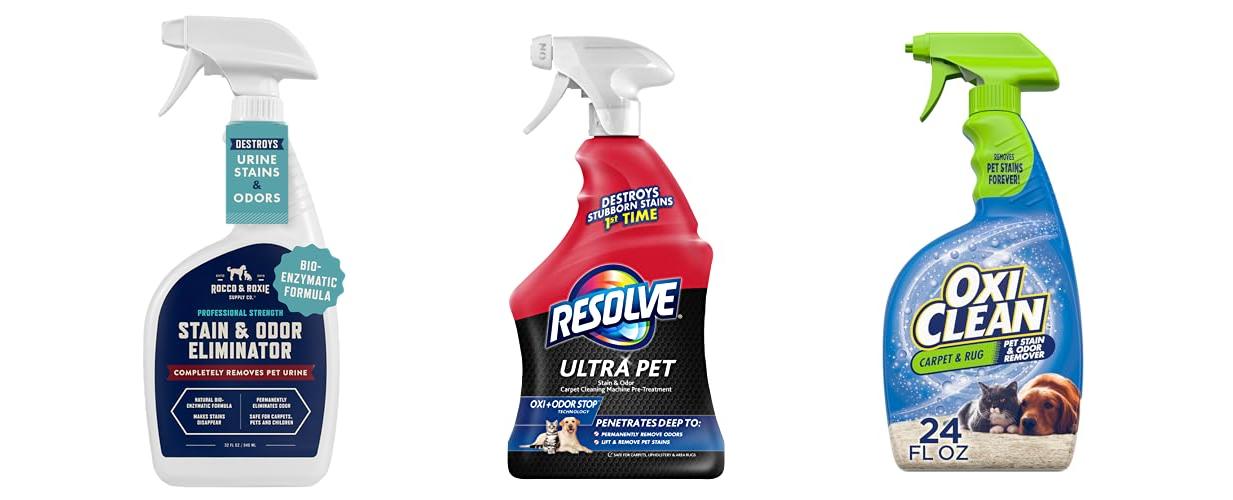 Top 5 Dog Carpet Cleaners: Reviews & Buying Guide for Pet Owners ...