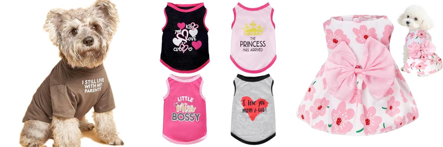 Top 5 Dog Clothes: Reviews, Styles & Buying Guide for Pups - AnimalsPick