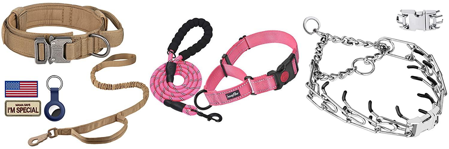 Top 5 Dog Collars & Leashes For Training: Expert Review & Guide ...
