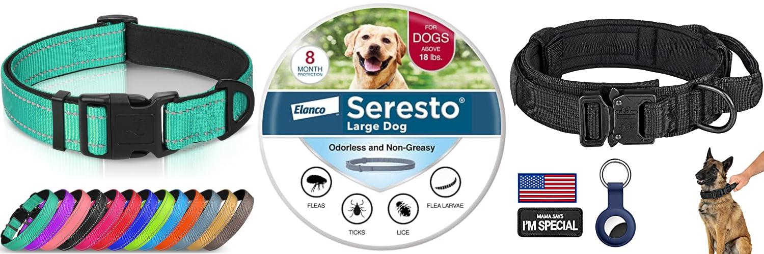 Top 5 Best Dog Collars For Large Dogs: A Comprehensive Review - AnimalsPick
