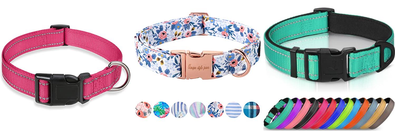 Top 5 Best Dog Collars for Small Dogs: A Detailed Review Guide ...
