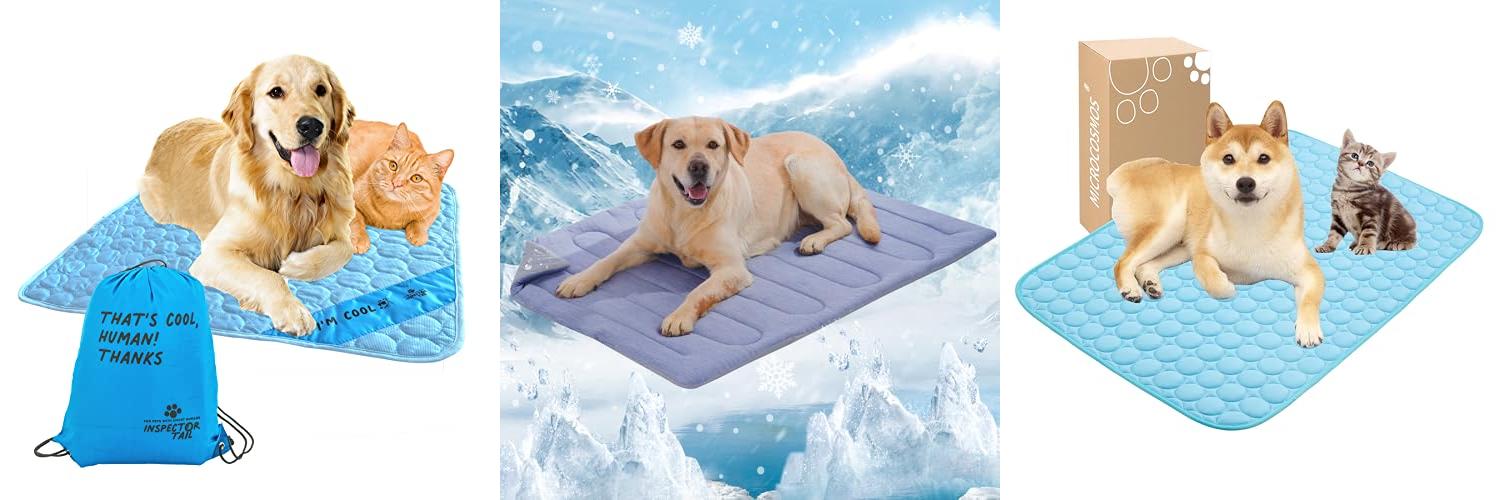 Top 5 Dog Cooling Mats: Reviews & Buyer's Guide for Summer - AnimalsPick