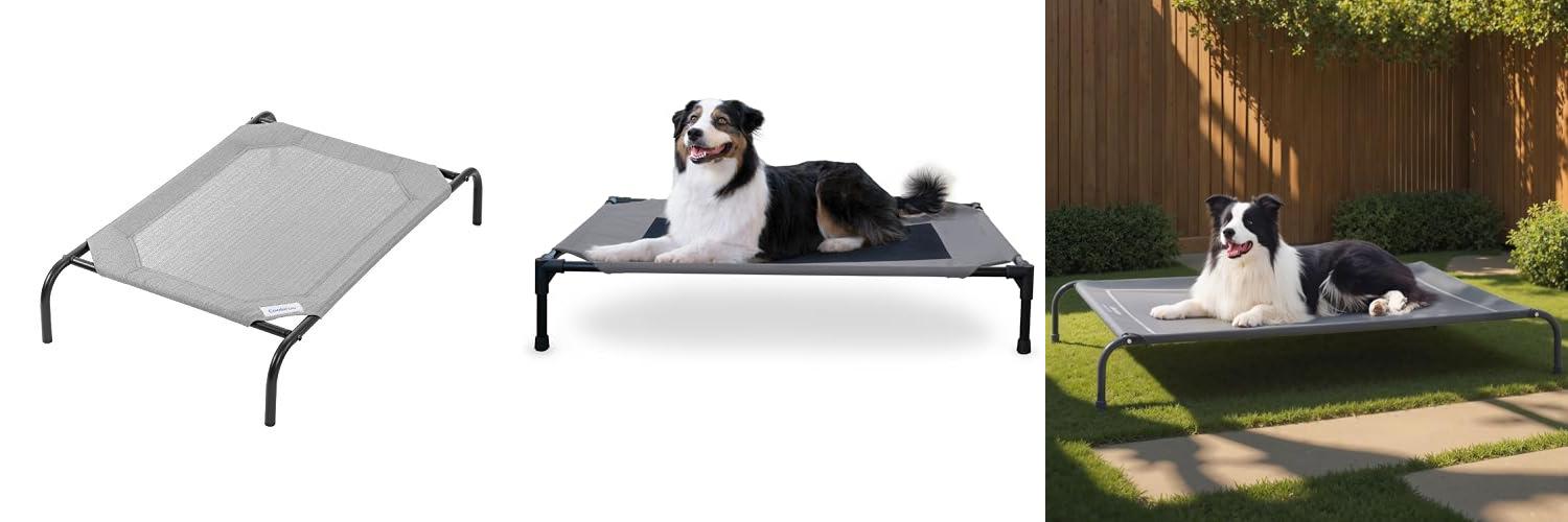 Top 5 Dog Cots: Reviews & Buying Guide for Your Pup's Comfort - AnimalsPick
