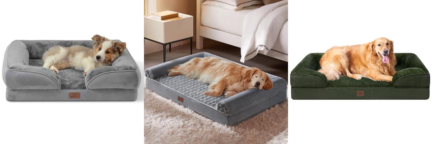Top 5 Dog Couch Beds: Comfort, Style, & Durability Reviewed! - AnimalsPick