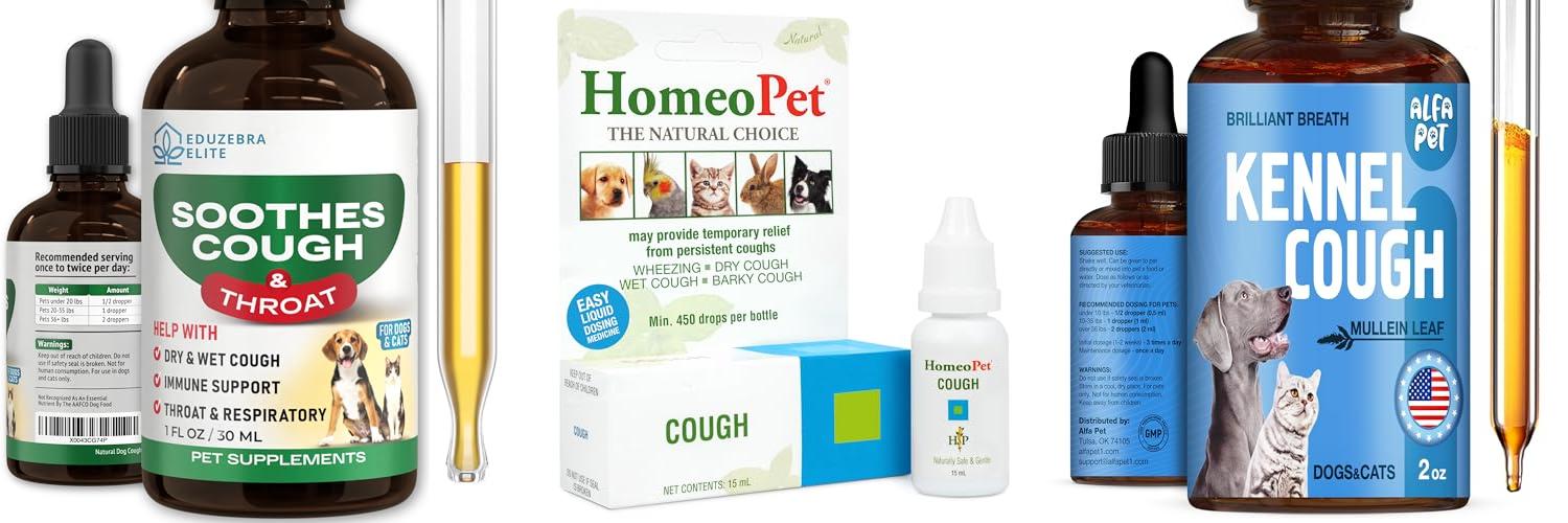Top 5 Dog Cough Medicines: Reviews & Expert-Approved Choices - AnimalsPick