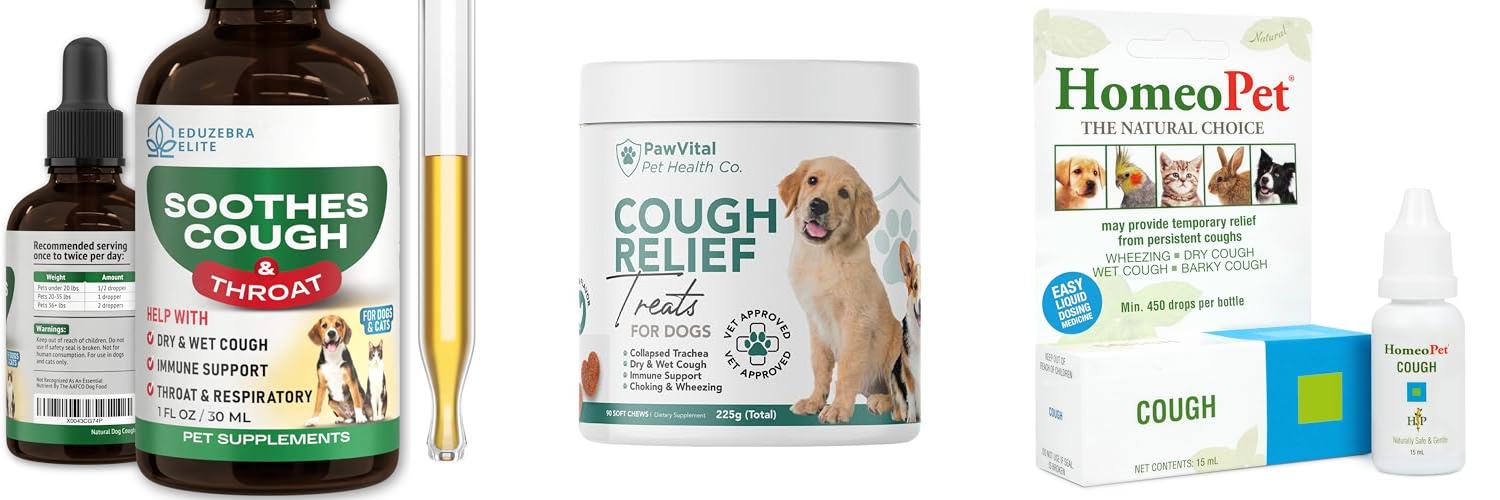 Top 5 Dog Cough Suppressants: Reviewed for Soothing Relief - AnimalsPick