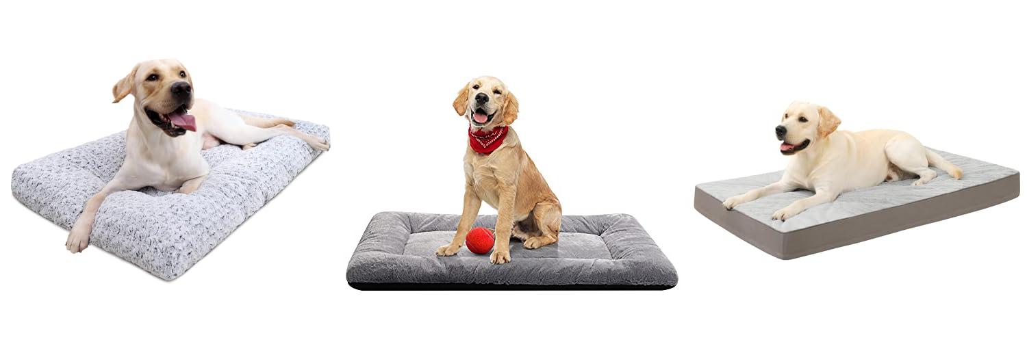 Top 5 Dog Crate Pads: Reviews & Your Pup's Comfort Guide! - AnimalsPick