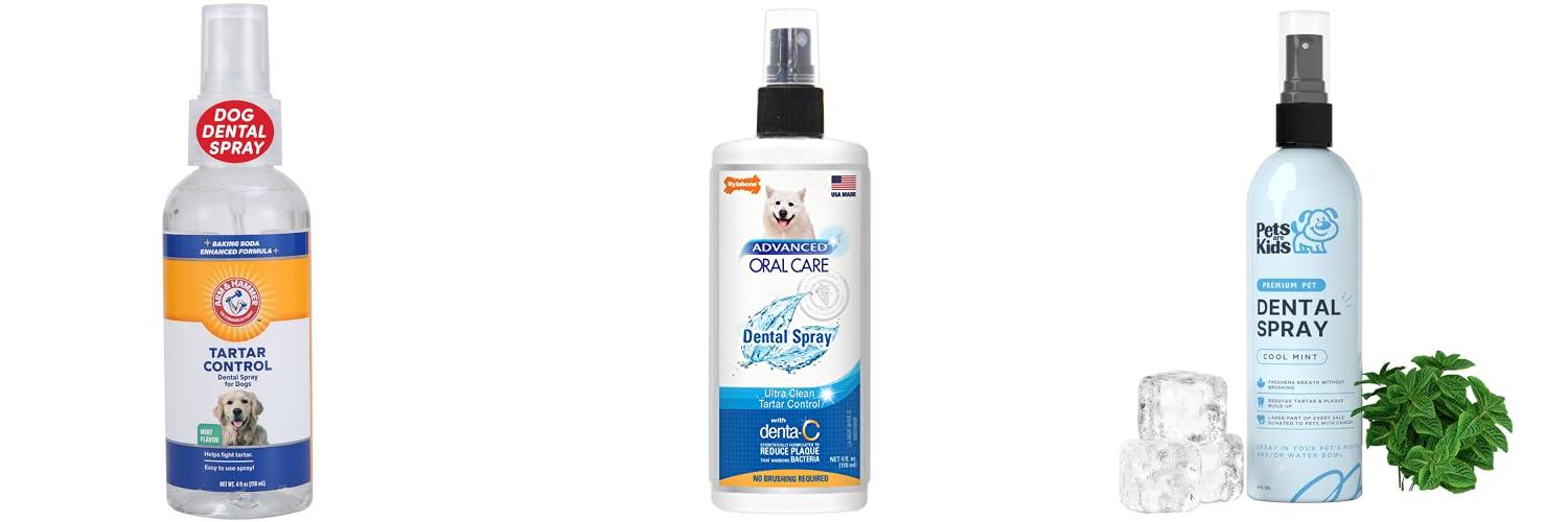 Top 5 Dog Dental Sprays: A Guide To Tartar Prevention - AnimalsPick