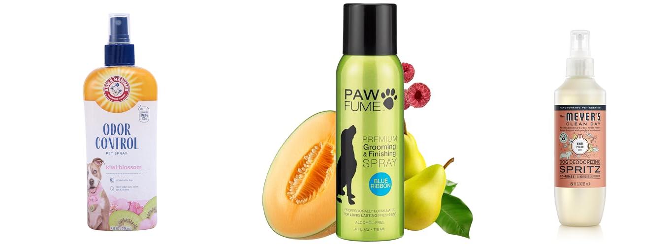 Top 5 Dog Deodorizers: Reviews & Buying Guide for Fresh Pups - AnimalsPick