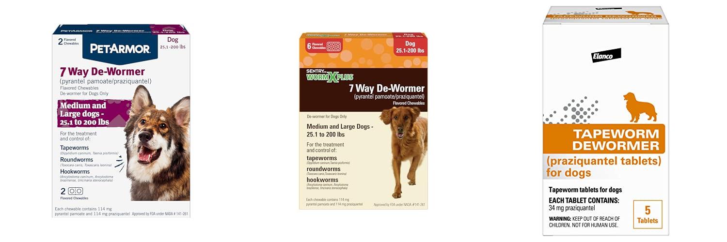 Top 5 Dog Dewormers For All Worms: Reviews & Buyer's Guide - AnimalsPick