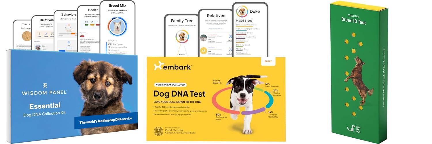 Top 5 Dog DNA Tests for Mixed Breeds: Uncover Your Pup's Secrets ...