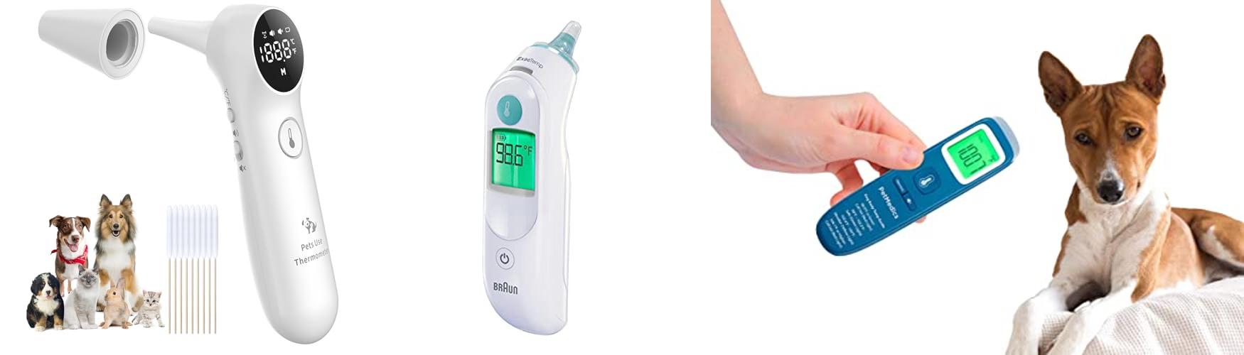 Top 5 Dog Ear Thermometers: Reviews & Buying Guide for Your Pup ...
