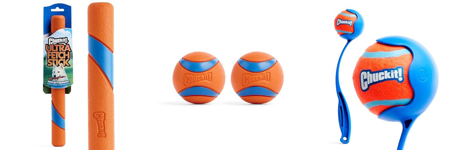 Top 5 Dog Fetch Toys: Reviews & Buyer's Guide for Playtime - AnimalsPick