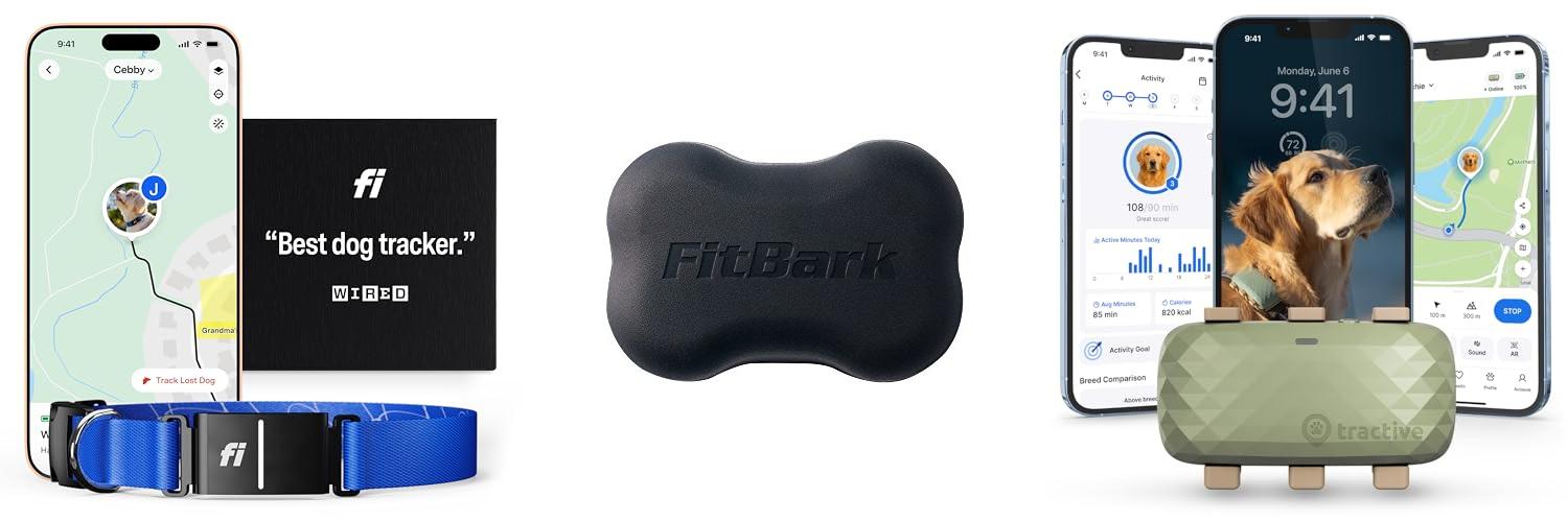 Top 5 Dog Fitness Trackers: Reviews & Which Is Best? Guide - AnimalsPick