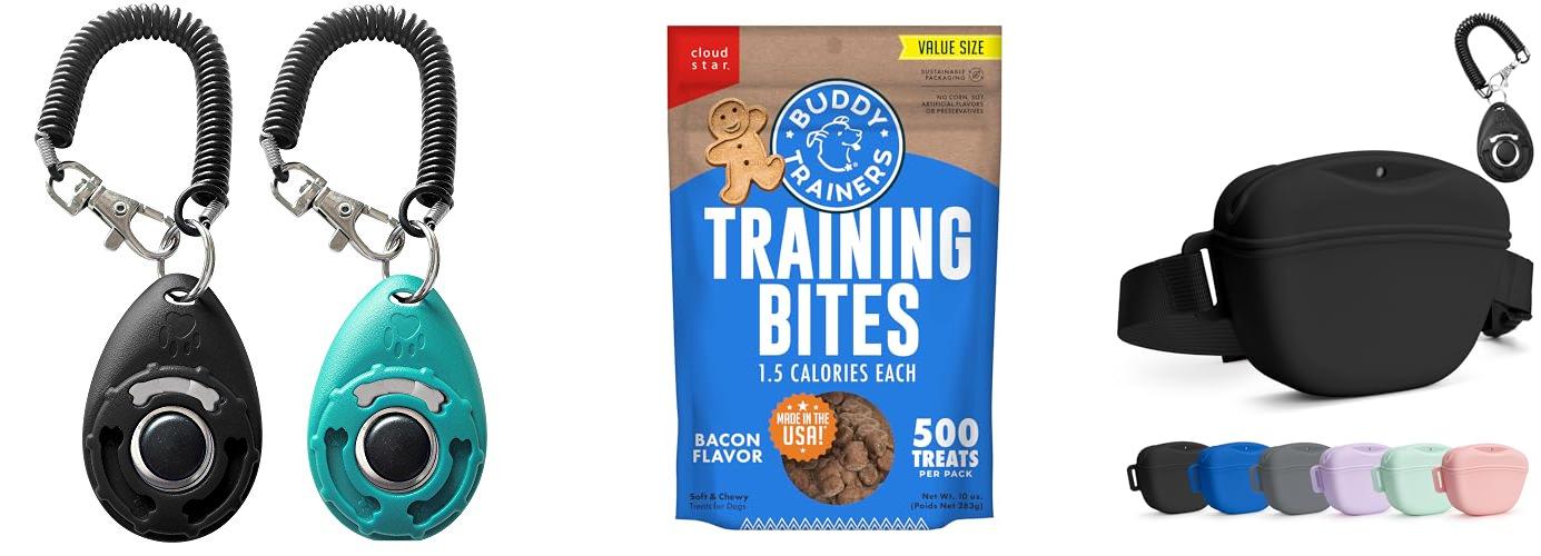 Top 5 Dog For Training: Gear You Need For Success! - AnimalsPick