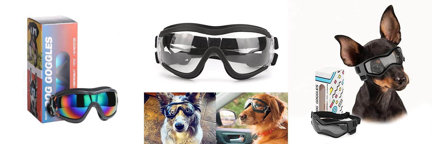 Top 5 Best Dog Goggles: Keep Your Pup's Eyes Safe & Stylish - AnimalsPick