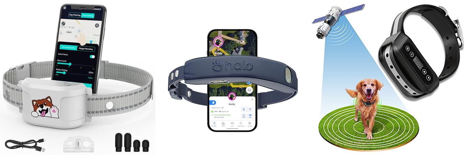 Top 5 Dog GPS Systems: Reviews & Buyer's Guide for Peace of Mind ...