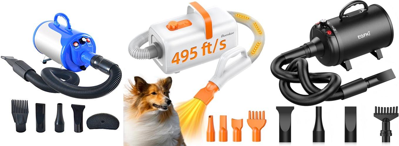 Top 5 Dog Hair Dryers: Reviews, Buying Guide, & Best Picks - AnimalsPick