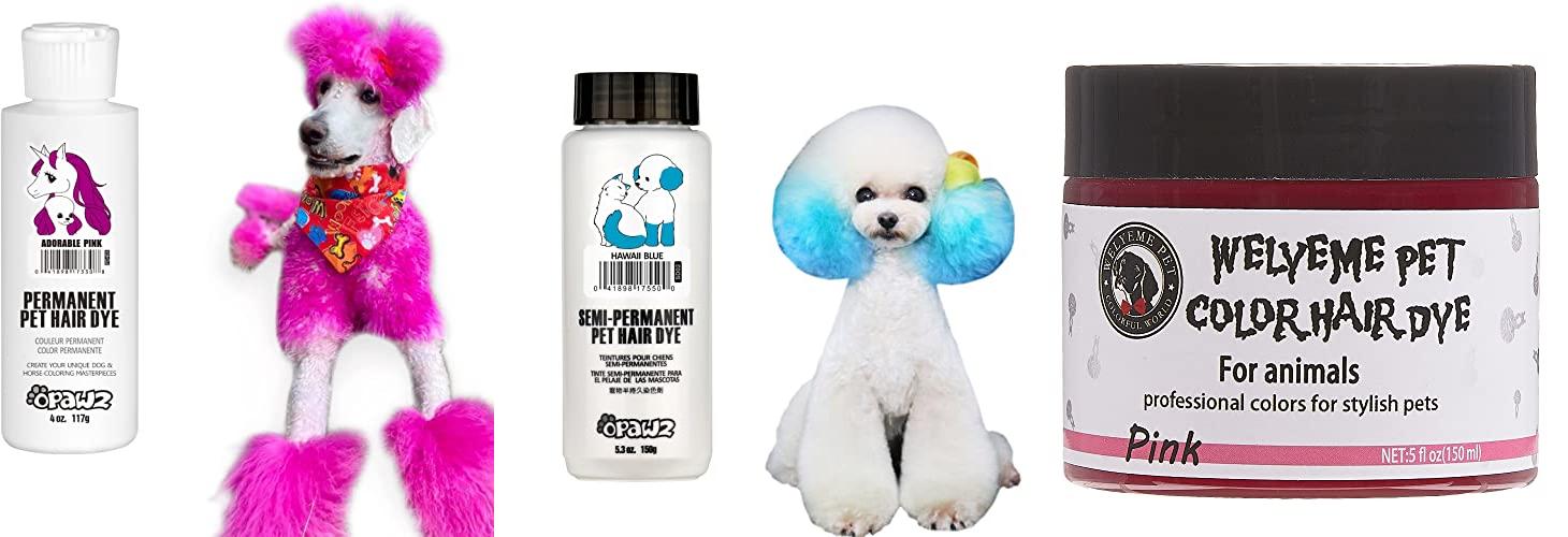 Top 5 Dog Hair Dyes: Safe & Stunning Colors Reviewed - AnimalsPick