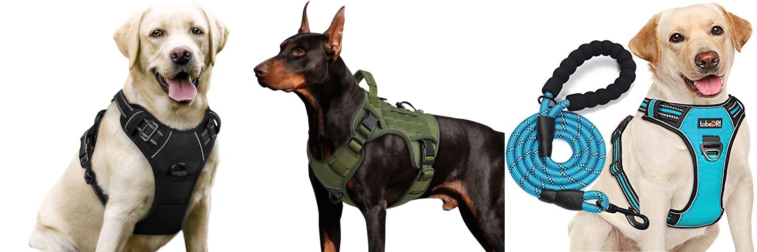 Top 5 Dog Harnesses For Big Dogs: Reviews & Buying Guide - AnimalsPick