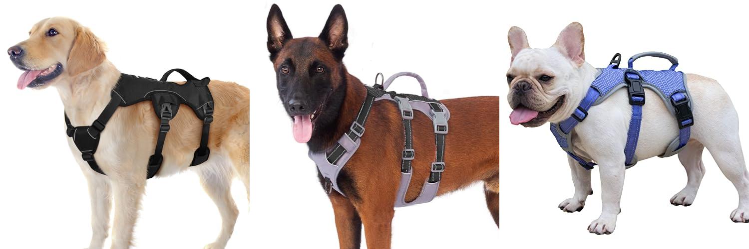 Top 5 Best Dog Harnesses for Escape Artists: A Review Guide - AnimalsPick