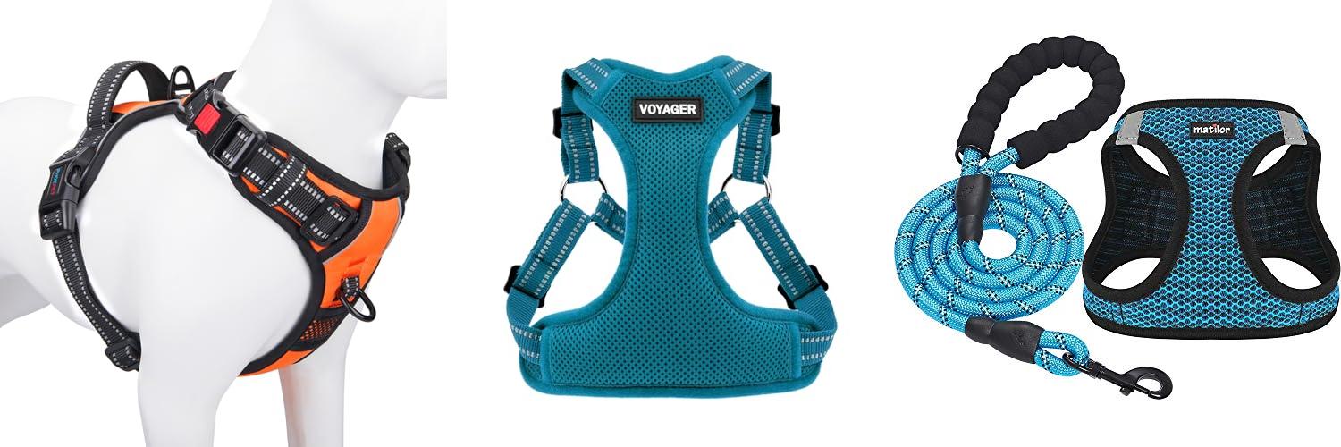 Top 5 Dog Harnesses for Jack Russell Terriers: Reviews & Guide ...
