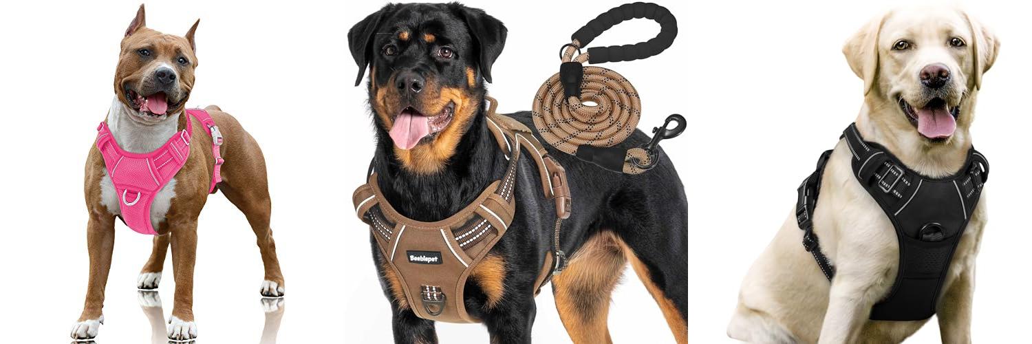 Top 5 Dog Harnesses For Pitbulls: Reviews & Buying Guide - AnimalsPick