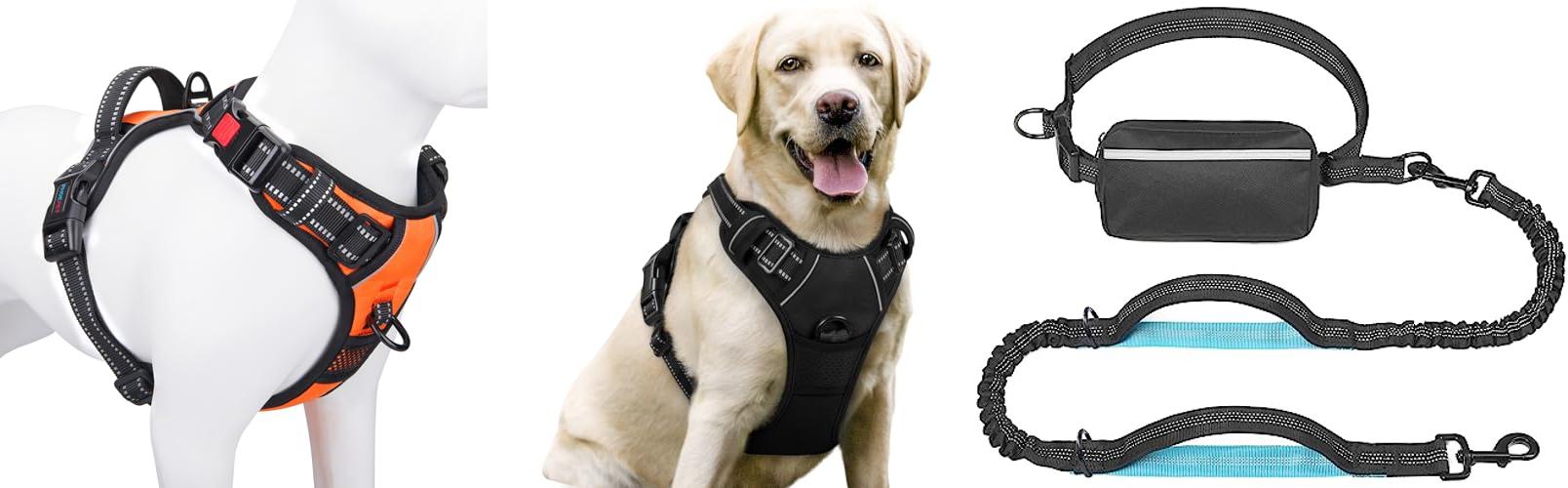 Top 5 Dog Harnesses for Running: Reviews & Buyer's Guide - AnimalsPick