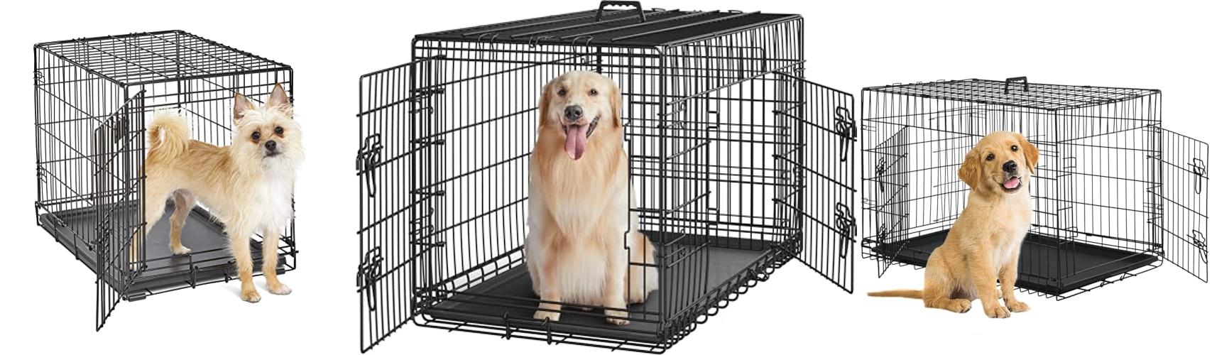 Top 5 Dog Kennels: Reviews, Features, & Buying Guide - AnimalsPick