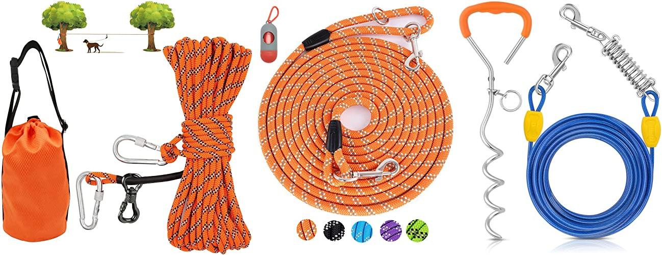 Top 5 Dog Leads for Camping: Reviews & Buying Guide for Pups - AnimalsPick