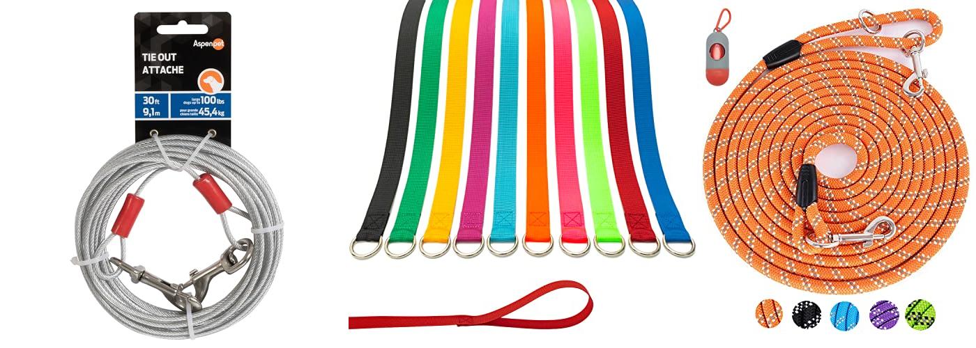 Top 5 Dog Leads: Reviews & Buyer's Guide for Happy Walks - AnimalsPick