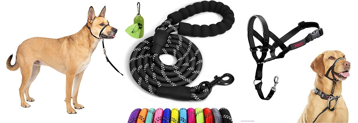 Top 5 Dog Leashes for Pulling: Reviews & Buyer's Guide - AnimalsPick