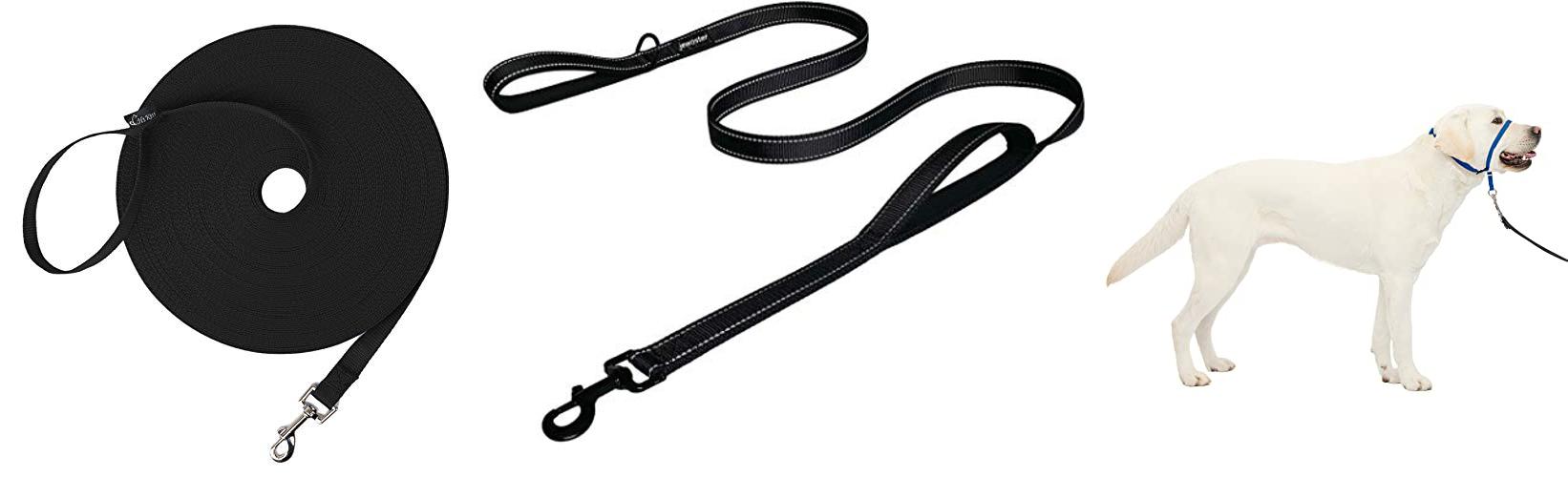 Top 5 Dog Leashes for Training: Reviews & Buyer's Guide - AnimalsPick