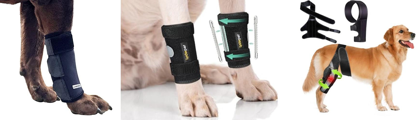 Top 5 Dog Leg Braces: Reviews & Guide for Happy Paws - AnimalsPick