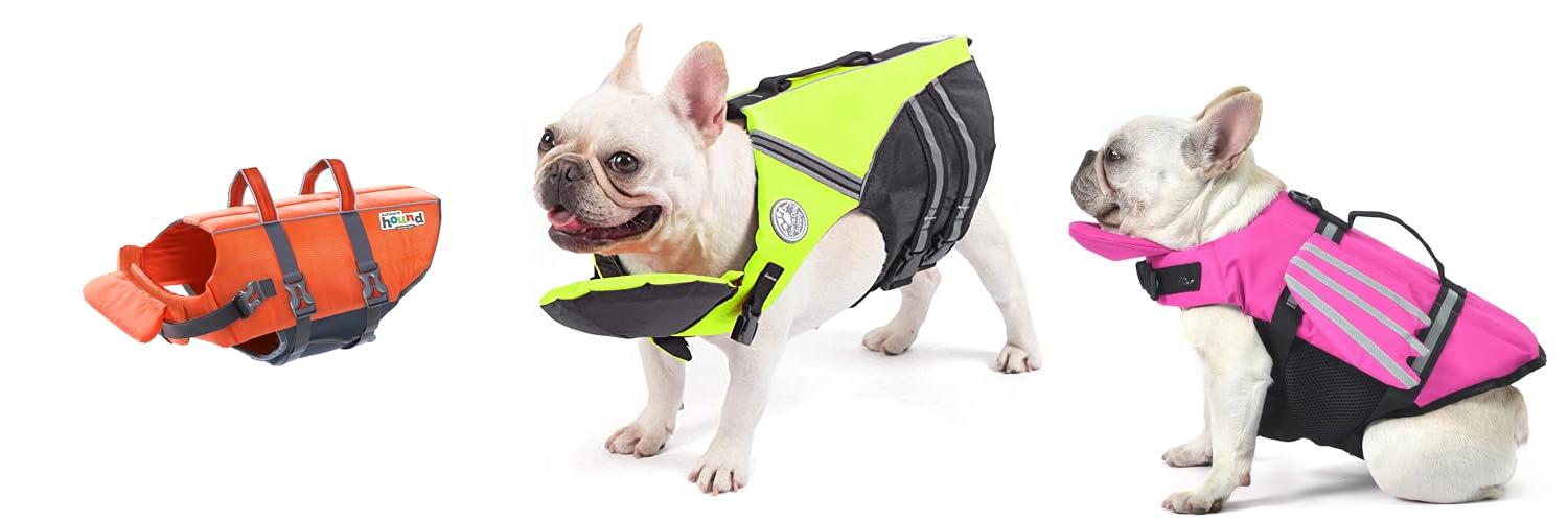 French Bulldog Life Vests: 5 Top Picks for Water Fun - AnimalsPick