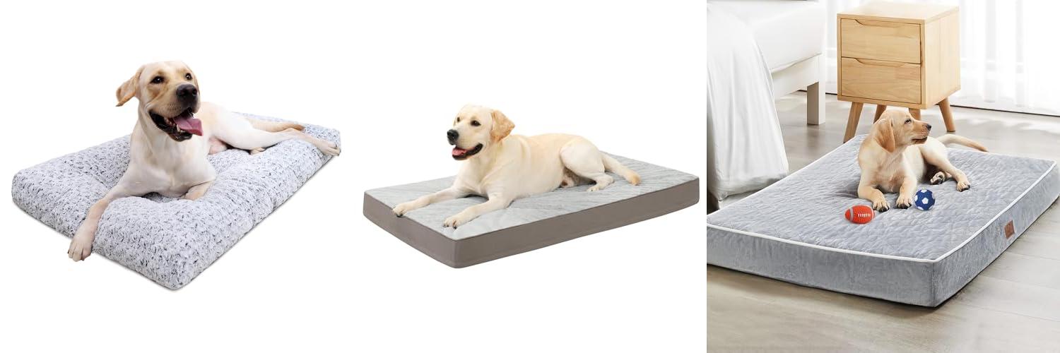 Top 5 Dog Mattress: Reviews & Guide for Ultimate Comfort & Sleep ...