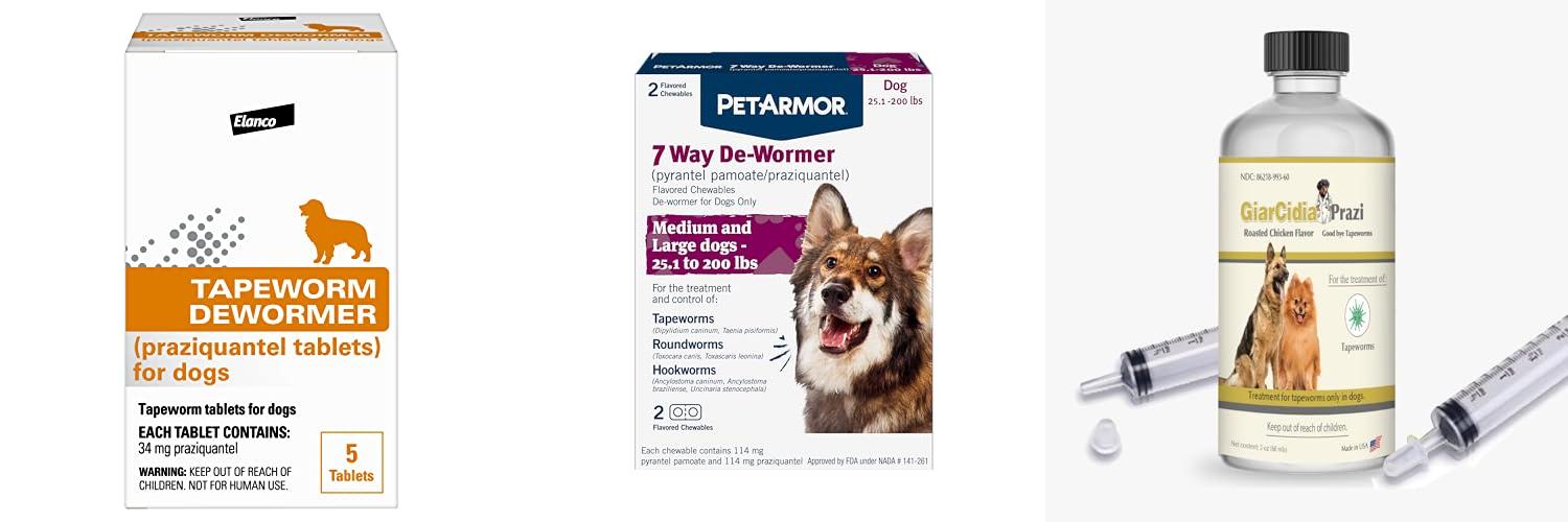 Top 5 Dog Tapeworm Medicines: Reviews, Benefits, & Buying Guide ...
